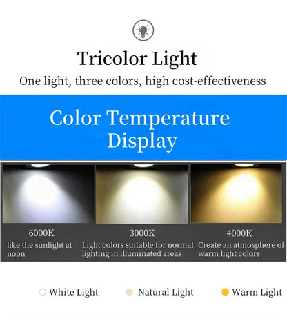 Classic Multi Light Pendant Chandelier – EMFURN