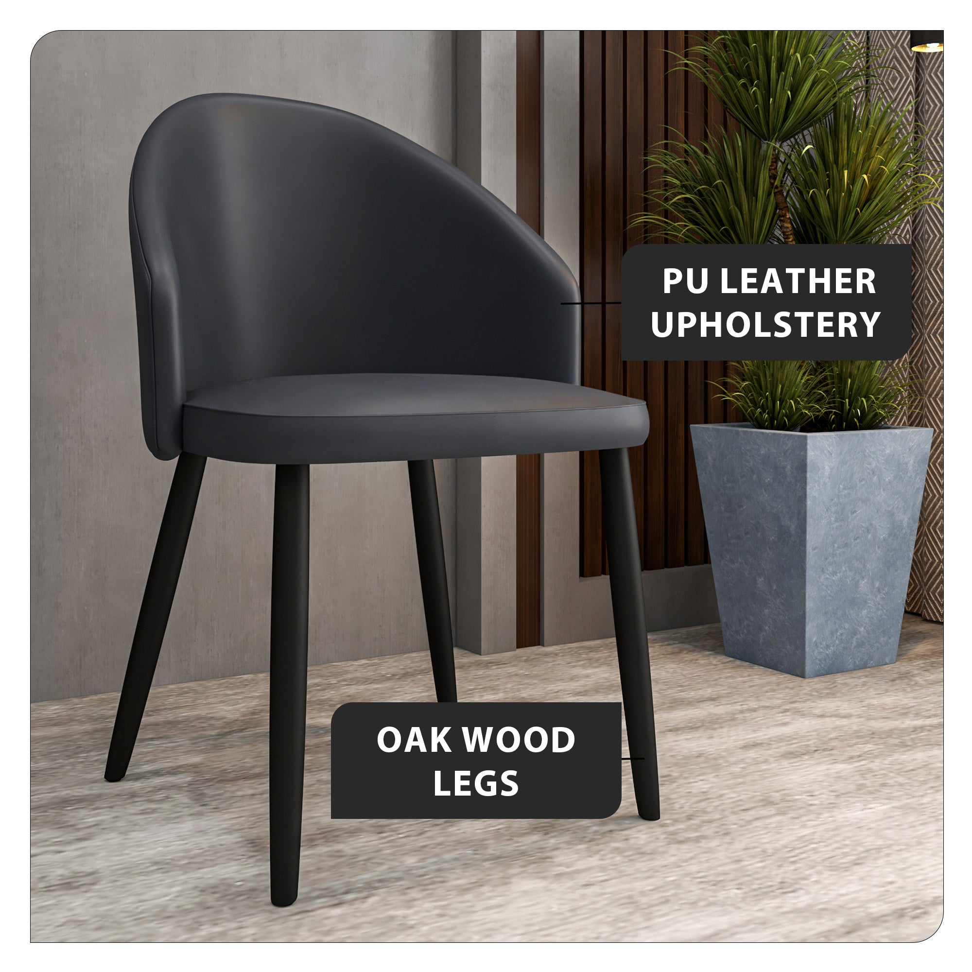Paradiso Collection Modern Dining Seat in Black – EMFURN
